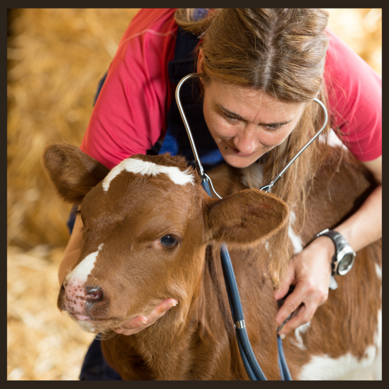 Register for a Course – Pet Emergency Education On-Demand Academy